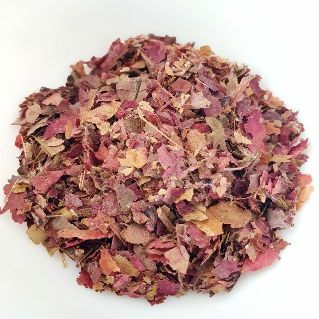 Vigne rouge, feuille - Herboristerie Etoile du Nord - Boutique en ligne